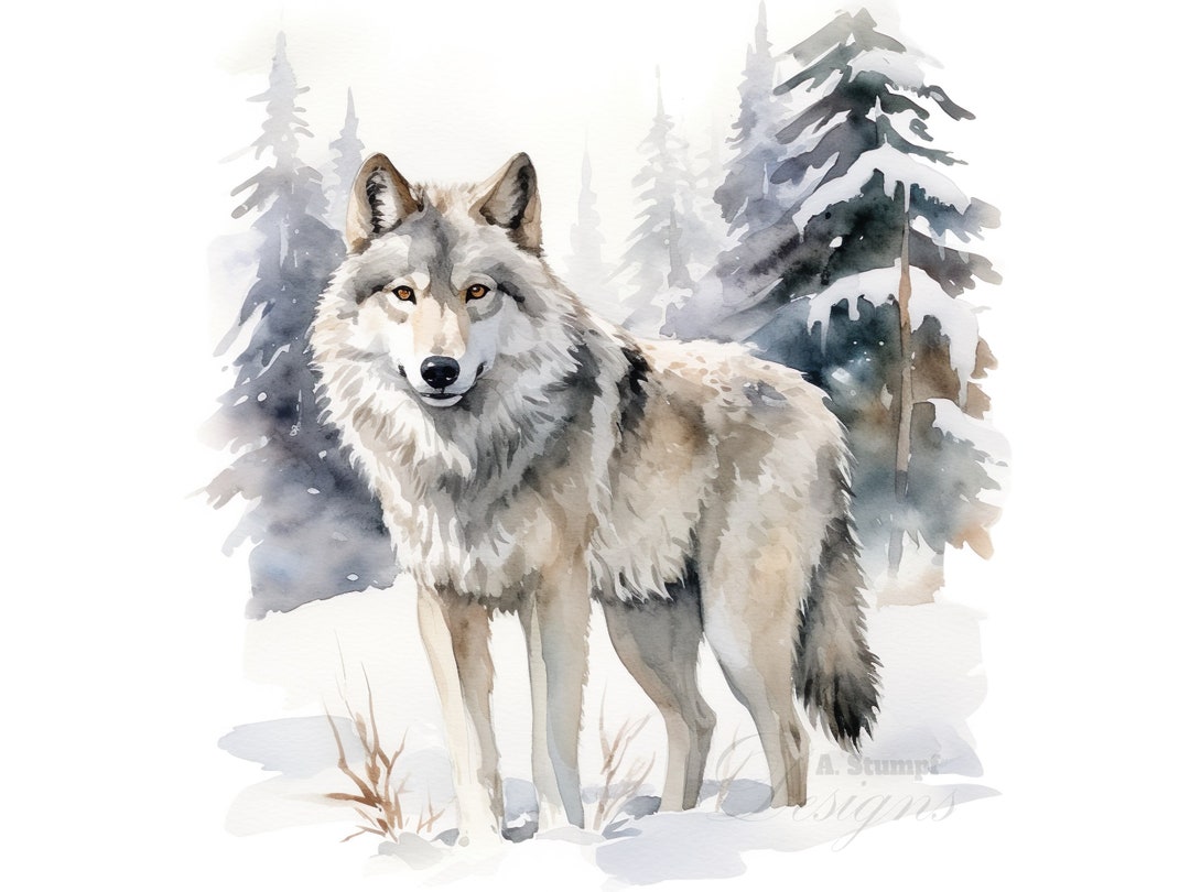 10 Wolf in Winter Clipart Set Digital Watercolor Paintings Forest ...