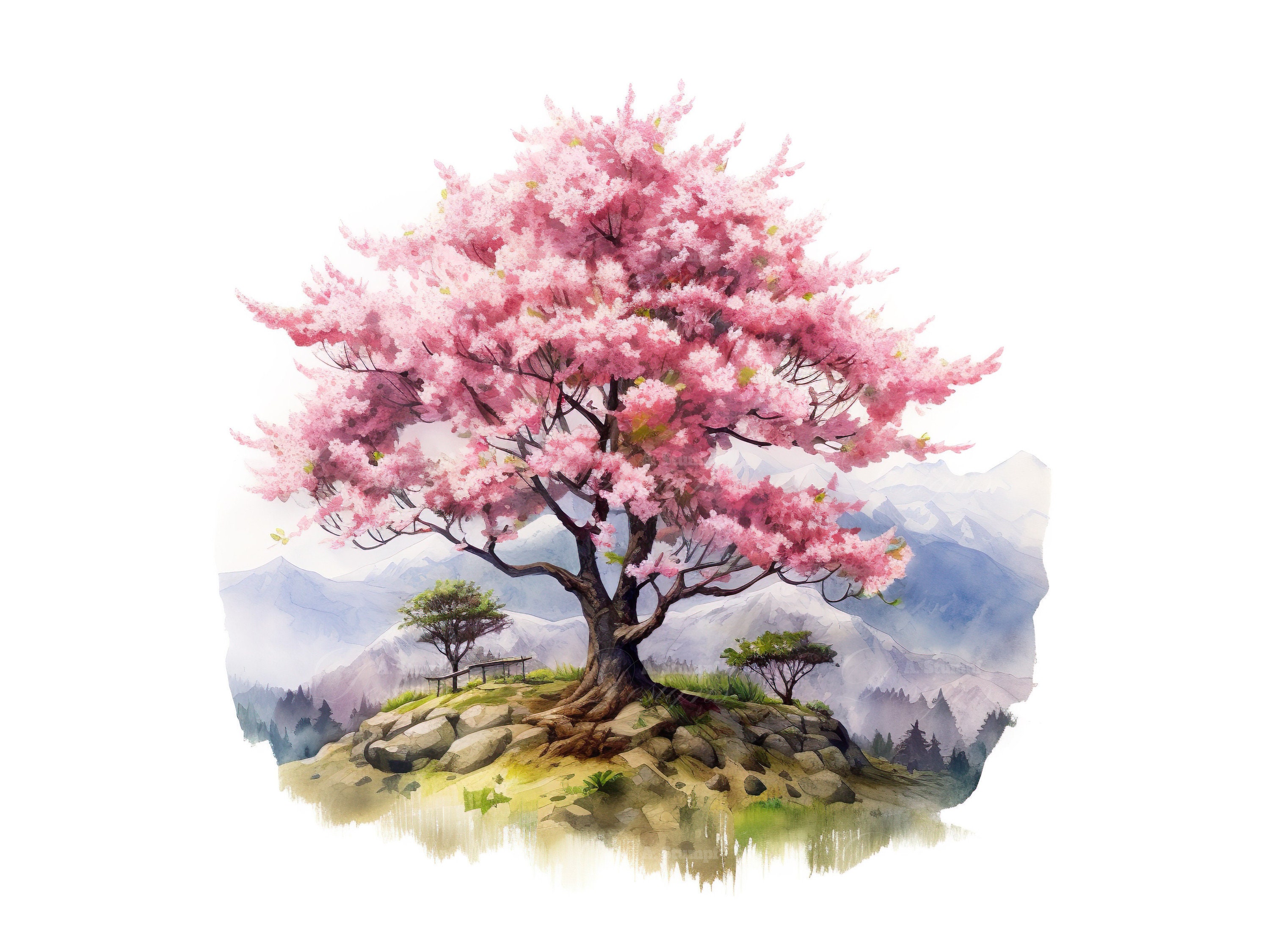 10 Cherry Tree Clipart, Digital Blossom Illustration, Japanese Blossom ...