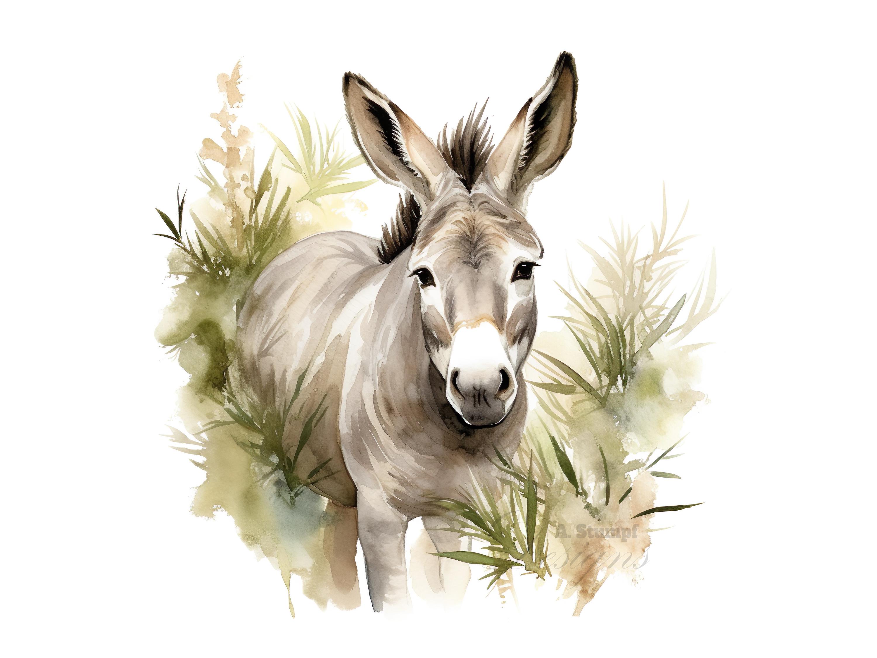 10 Funny Country Donkey Clipart Set Digital Watercolor Painting Farm ...