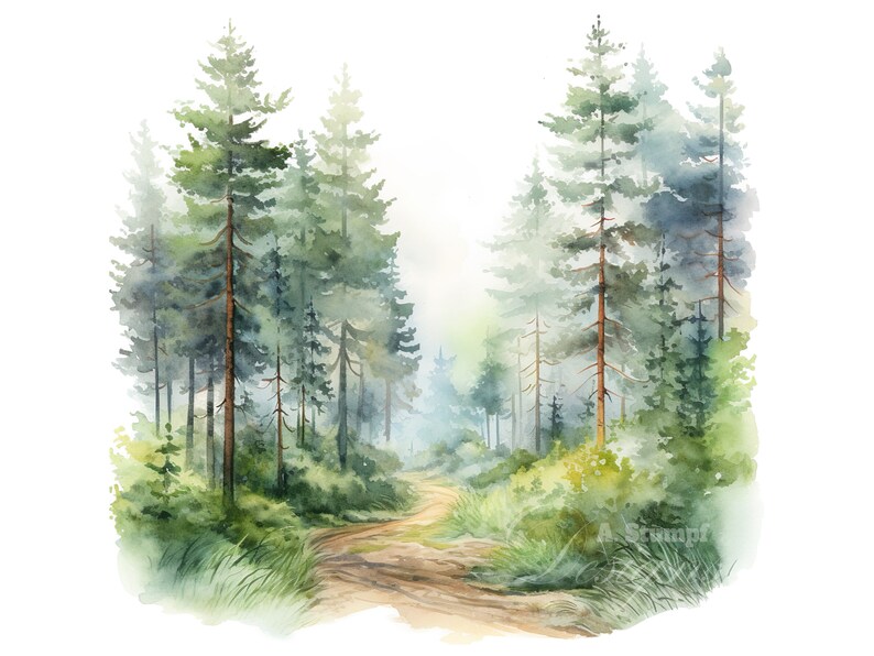 Coniferous Forest Clipart Set, 10 High Quality Jpgs, Forest Landscape ...