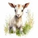 10 Baby Goat Clipart Set Digital Watercolor Painting Farm Animal Clip ...