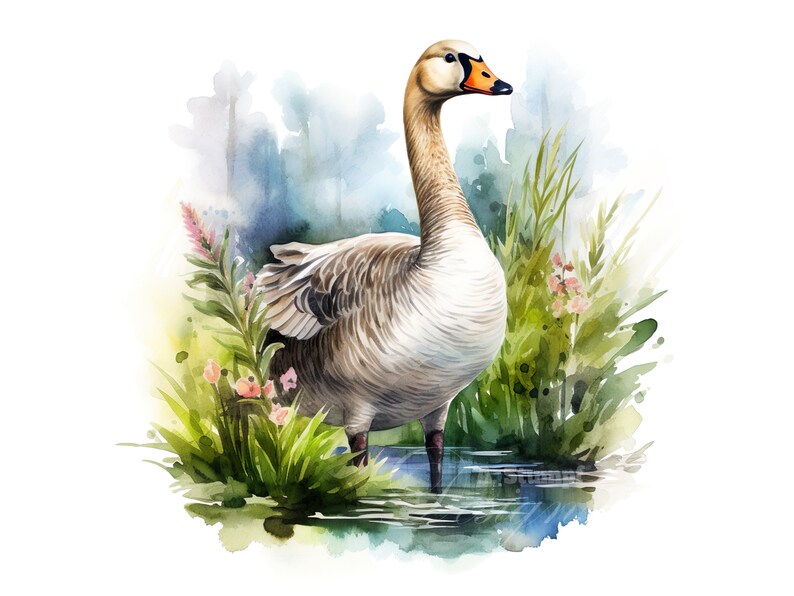 10 Goose Clipart Set Digital Watercolor Painting Farm Animal ...