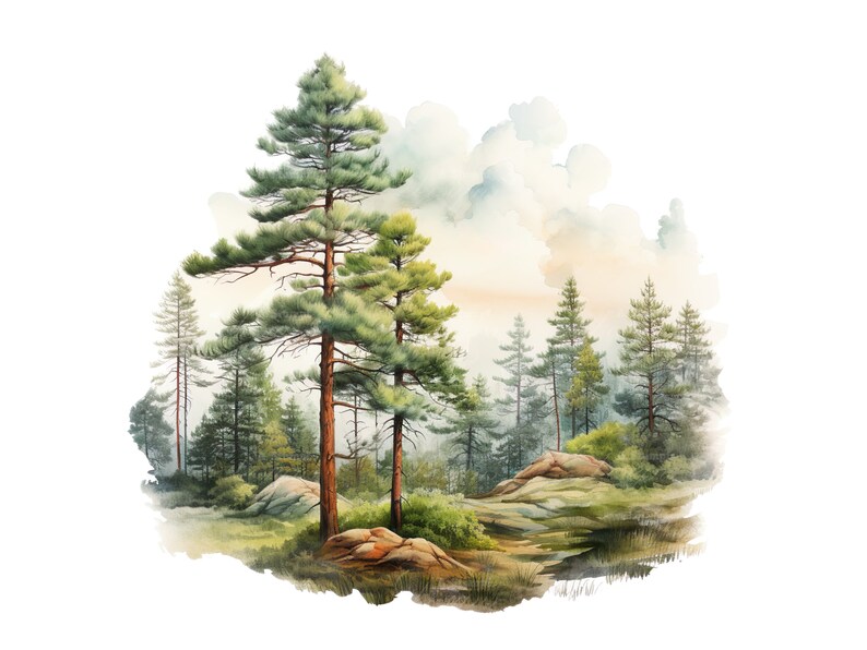 10 Pine Forest Landscape Scene Clipart Set Digital Watercolor Woodland ...