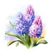 10 Hyacinth Spring Flowers Clipart Set, Blooming Digital Watercolor ...