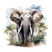 10 Elephant Clipart Set Digital Watercolor Painting African Safari ...