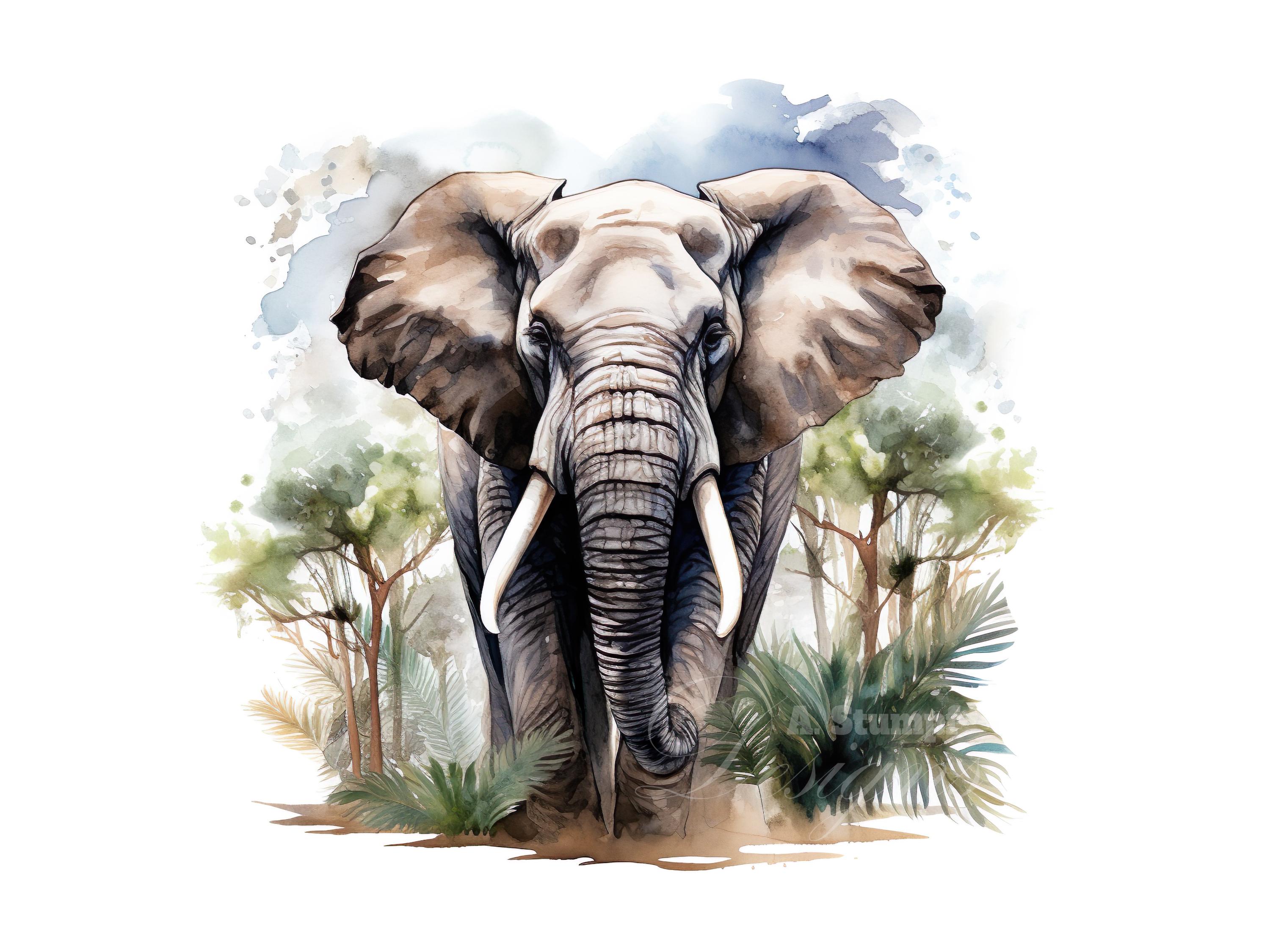 10 Elephant Clipart Set Digital Watercolor Painting African Safari ...