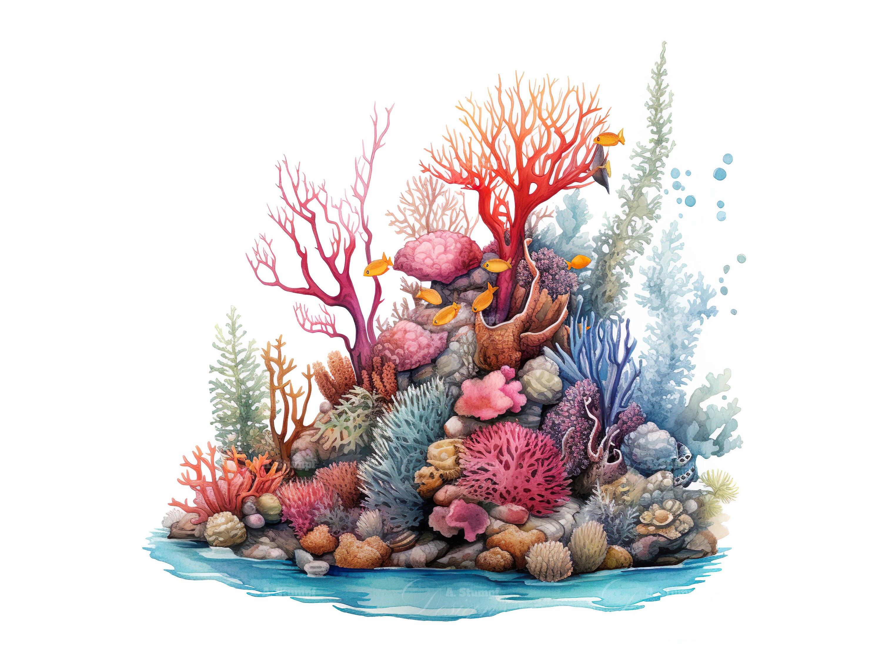 Coral Reef Clipart Ocean Art Bundle Watercolor Underwater Background ...