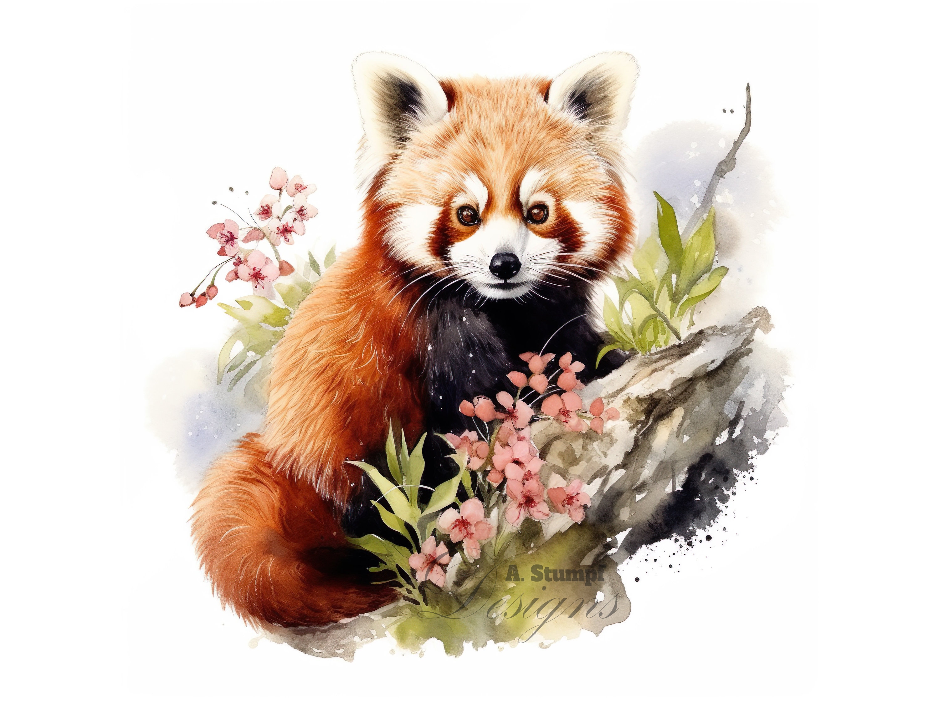 10 Red Panda Clipart, Cute Animal Illustrations, Digital Watercolor ...