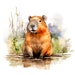 10 Capybara Clipart Set Digital Watercolor Painting Cute Adorable ...