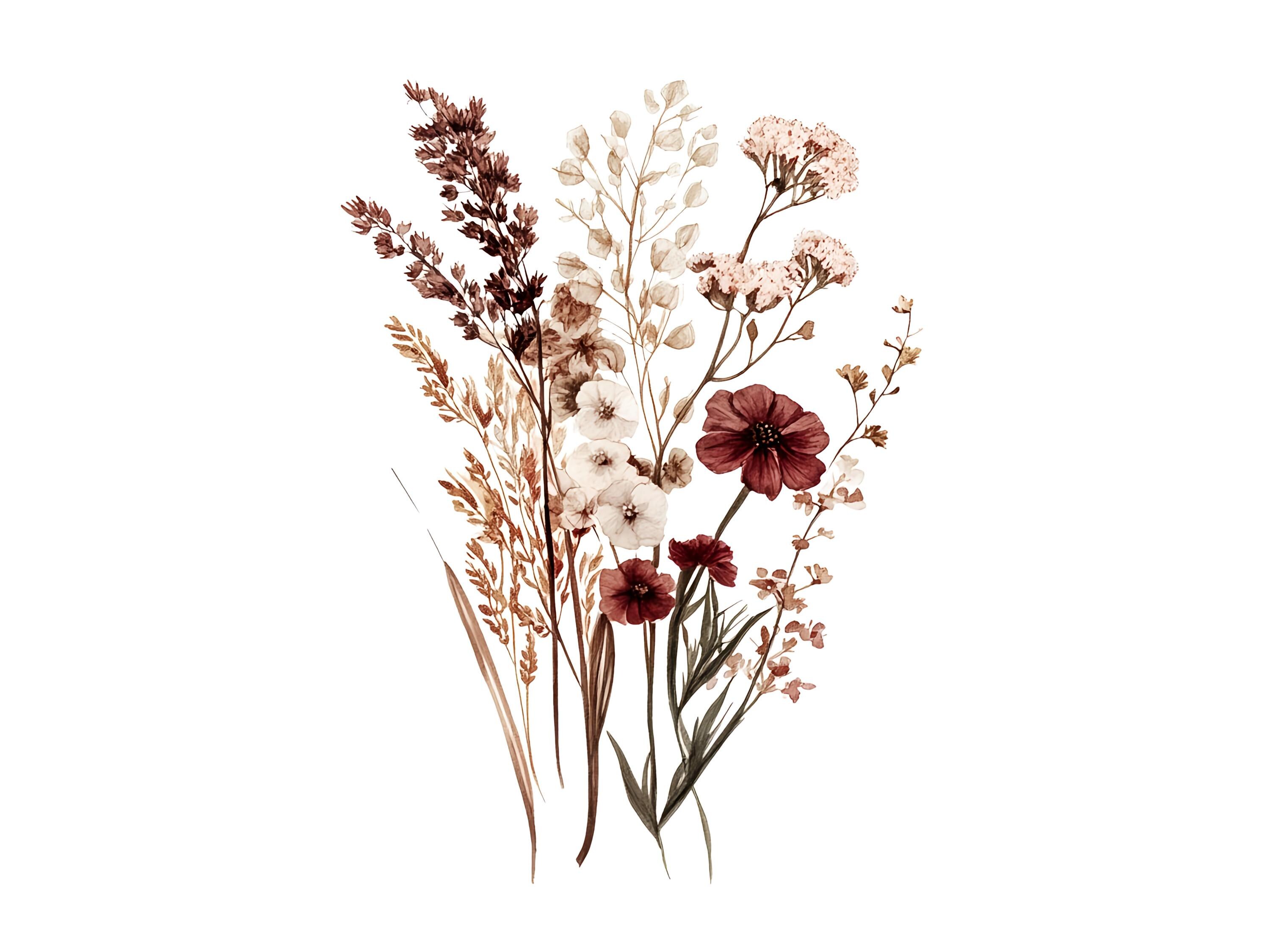 10 Dried Flowers Clipart Floral Arrangement Illustration Rustic ...