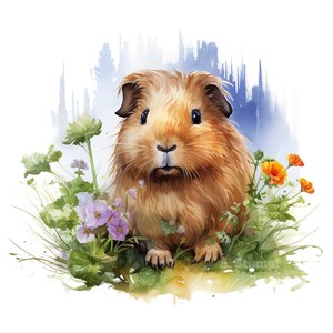 Guinea Pig Clipart Set 10 High Quality Jpgs, Pet Graphics, Printable ...