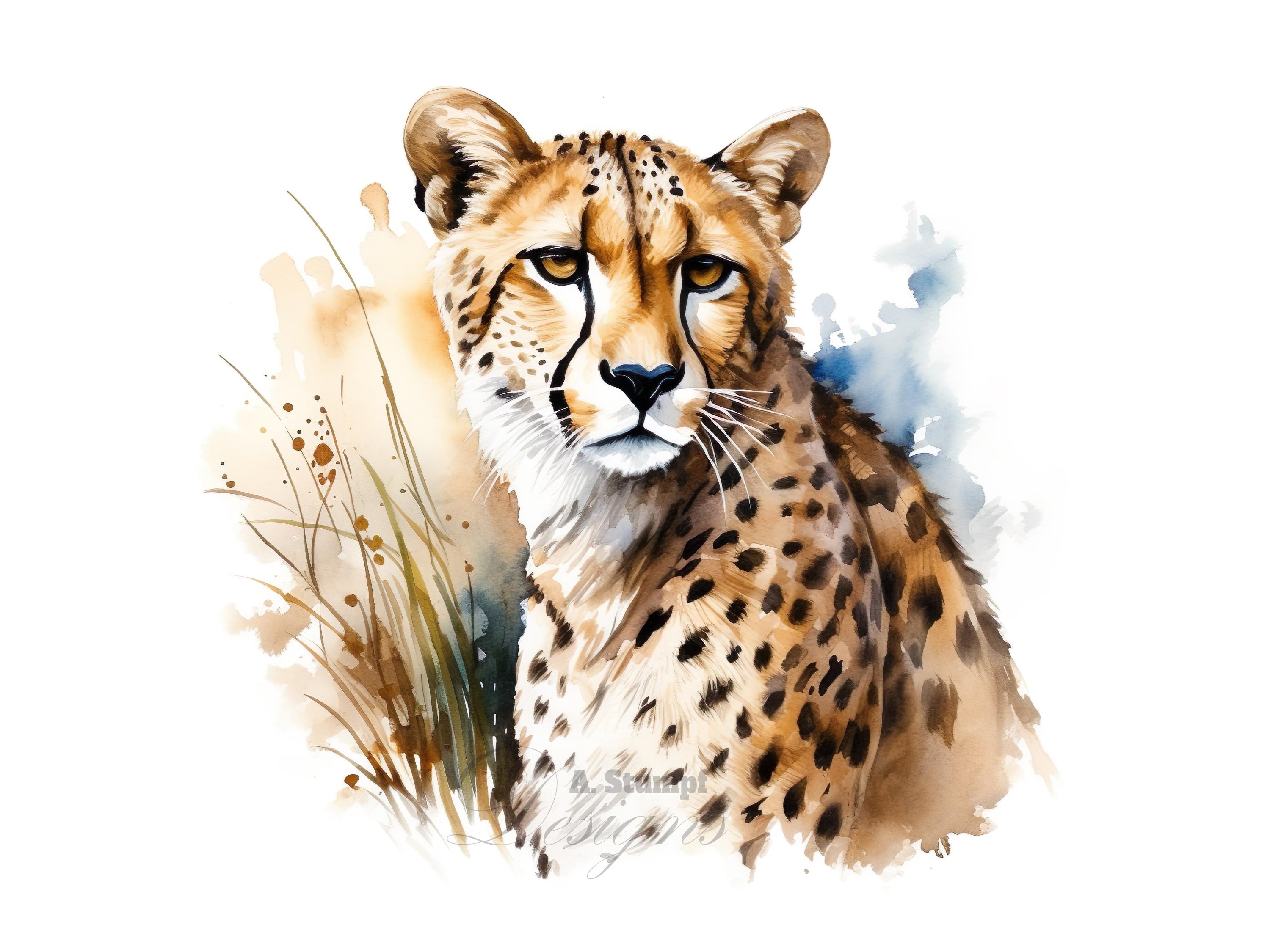 10 Cheetah Clipart Set Digital Watercolor Painting African Safari ...