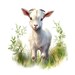 10 Baby Goat Clipart Set Digital Watercolor Painting Farm Animal Clip ...
