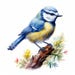 10 Blue Tit Bird Clipart Set Digital Watercolor Painting Forest ...