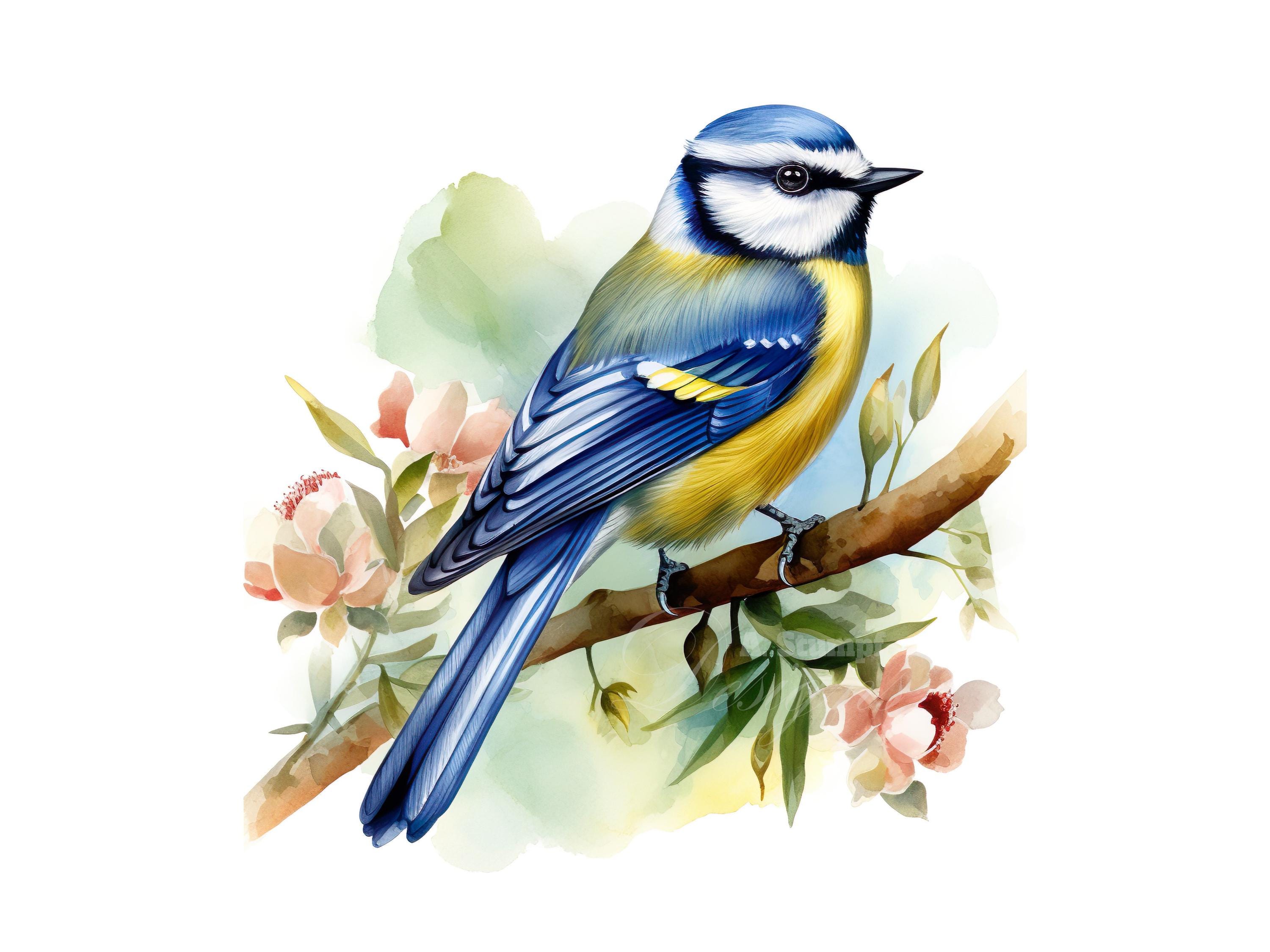 10 Blue Tit Bird Clipart Set Digital Watercolor Painting Forest ...