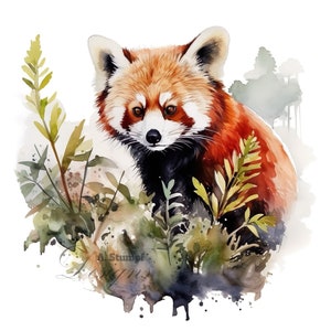 10 Red Panda Clipart, Cute Animal Illustrations, Digital Watercolor ...