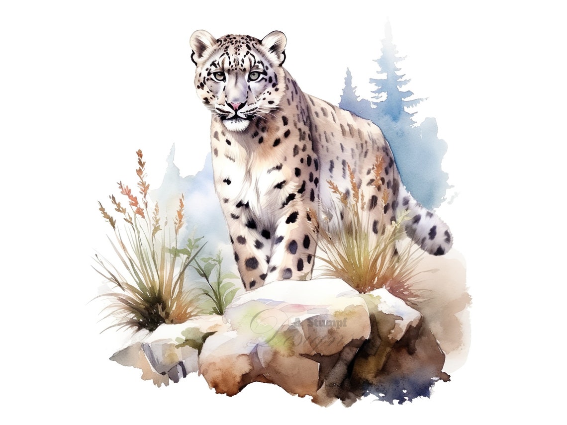 Snow Leopard Clipart Set of 10 High Quality Jpgs Digital - Etsy