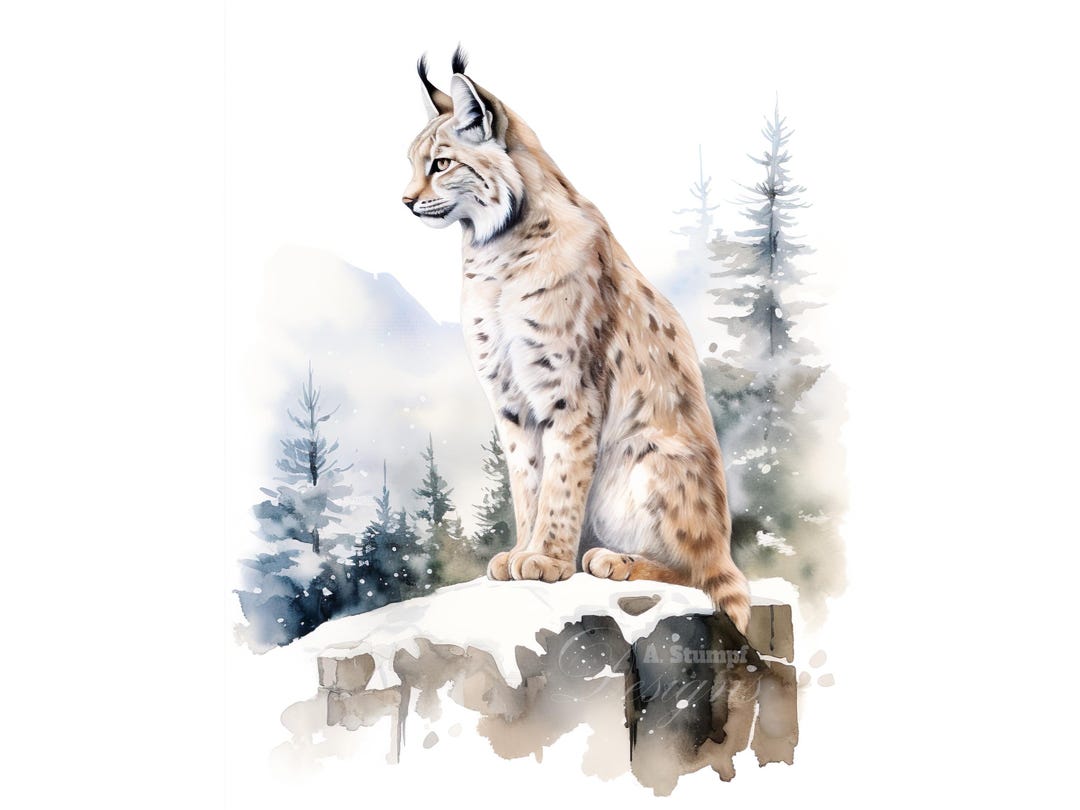 10 Lynx Clipart Set Digital Watercolor Painting Woodland Animal Nature ...