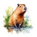 10 Capybara Clipart Set Digital Watercolor Painting Cute Adorable ...