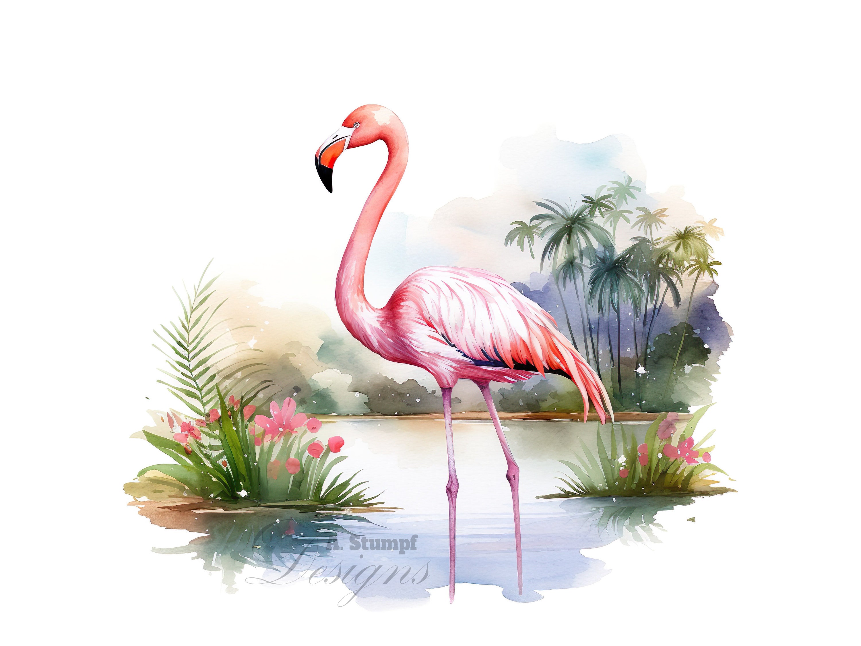 10 Flamingo Clipart Set Digital Watercolor Painting Safari Animal ...