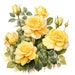 Yellow Roses Clipart Set Watercolor Flowers Bundle Floral Graphics ...