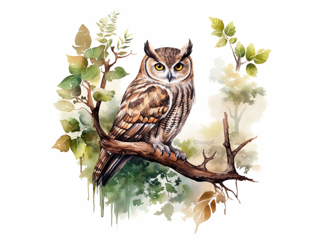 10 Owl Clipart Set Digital Watercolor Painting Rustic Forest Bird ...