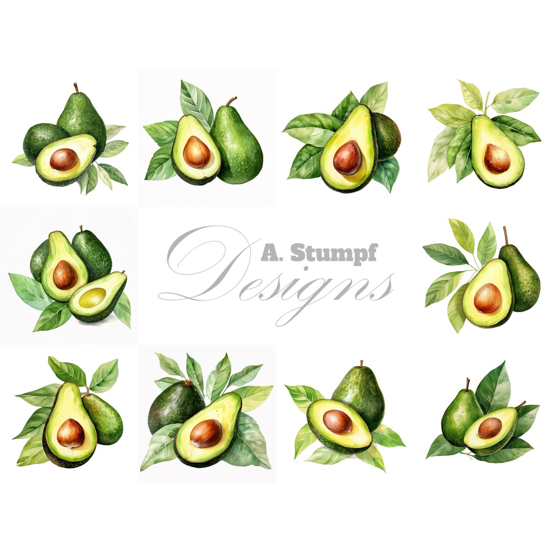 Avacado Clipart Set Watercolor Clip Art Bundle Printable Kitchen Wall ...