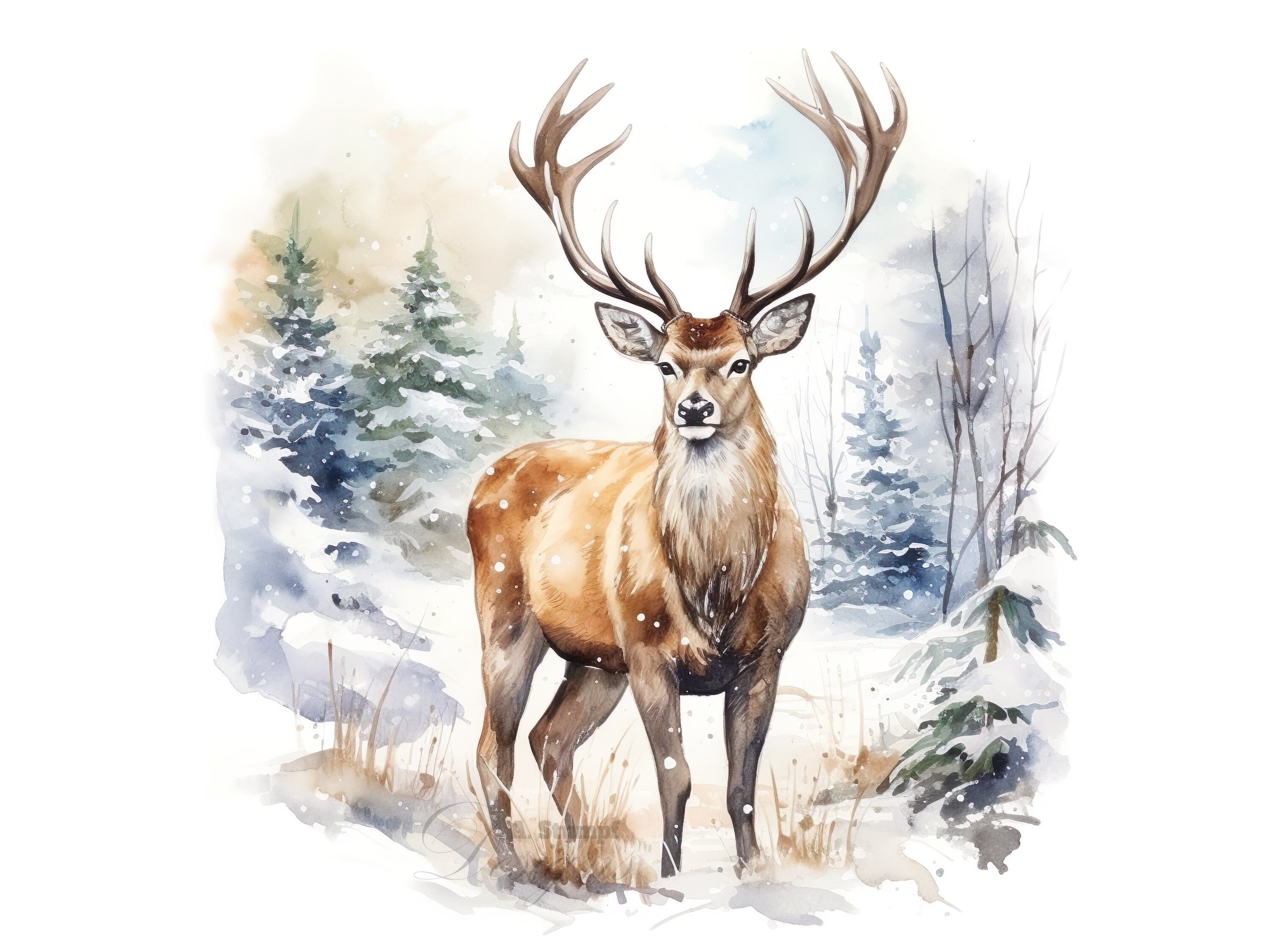 Deer Clipart Set of 10 High Quality Jpgs Digital Watercolor Art ...