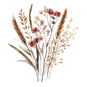 10 Dried Flowers Clipart Floral Arrangement Illustration Rustic ...