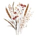 10 Dried Flowers Clipart Floral Arrangement Illustration Rustic ...
