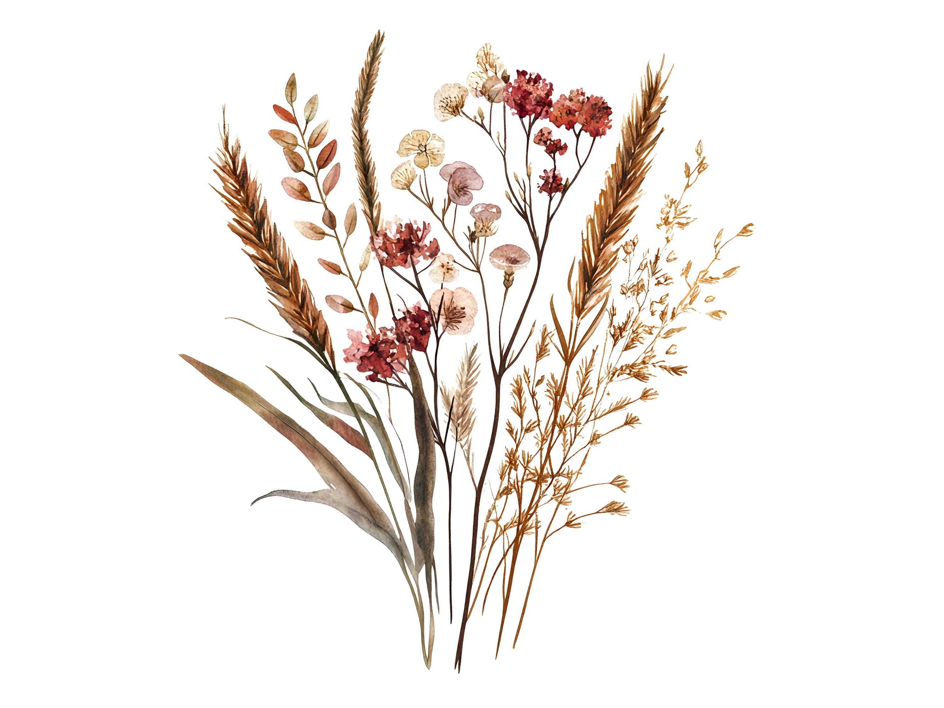 10 Dried Flowers Clipart Floral Arrangement Illustration Rustic ...