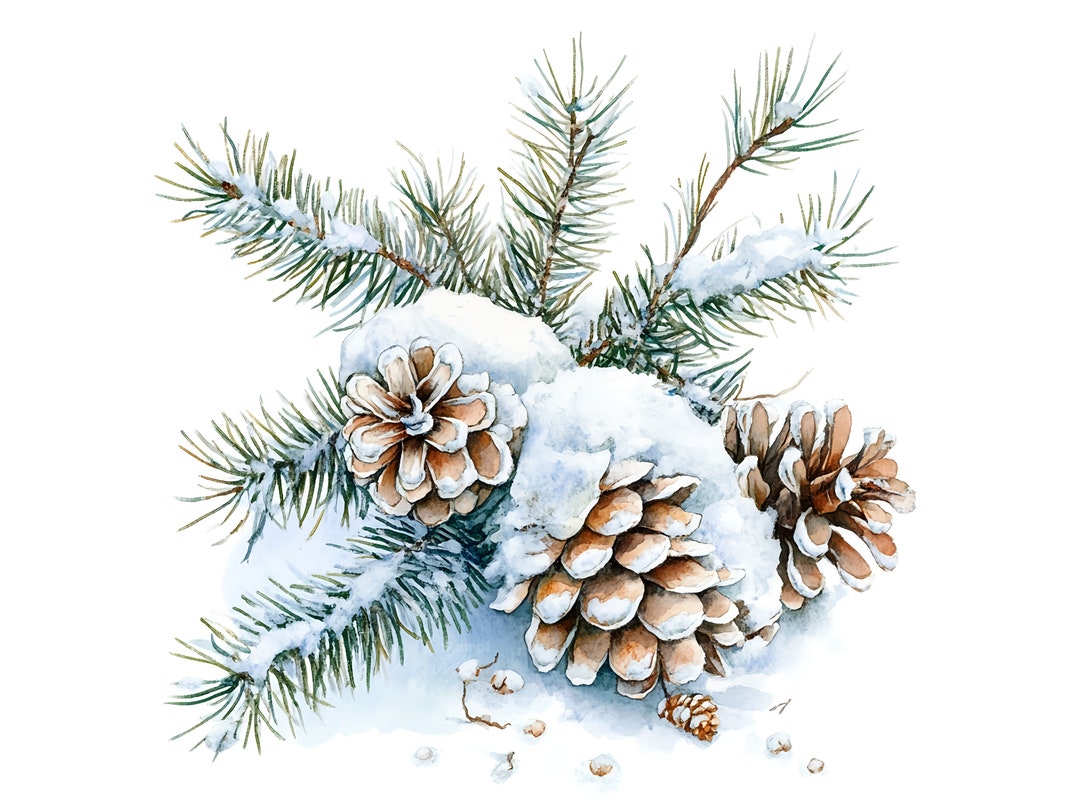 10 Snowy Pine Cones Clipart Watercolor Winter Illustrations Christmas ...