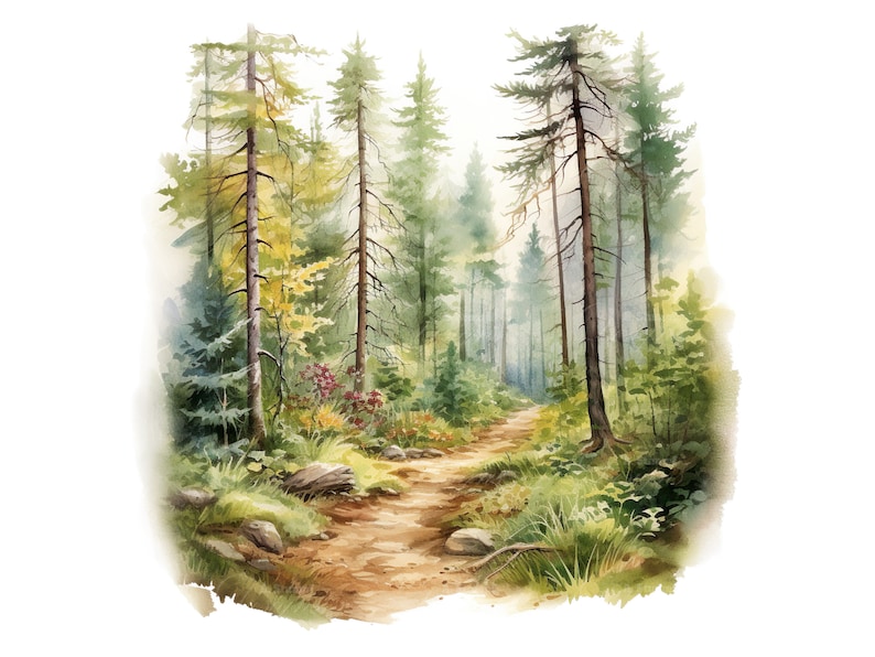 10 Forest Hiking Trail in Spring Clipart Set, Adventure Illustration ...