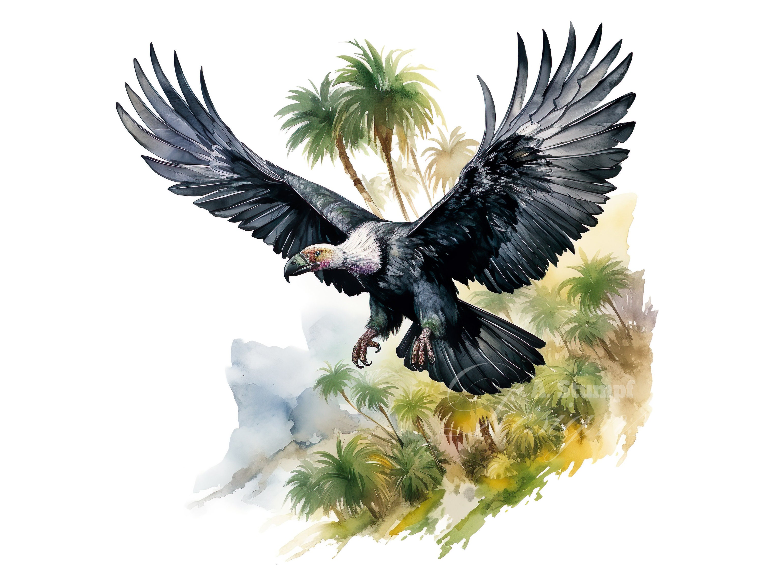 10 Flying Condor Clipart Set Digital Watercolor Painting Exotic ...
