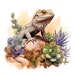Bearded Dragon Lizard Watercolor Clipart Bundle Reptile Graphics Animal ...