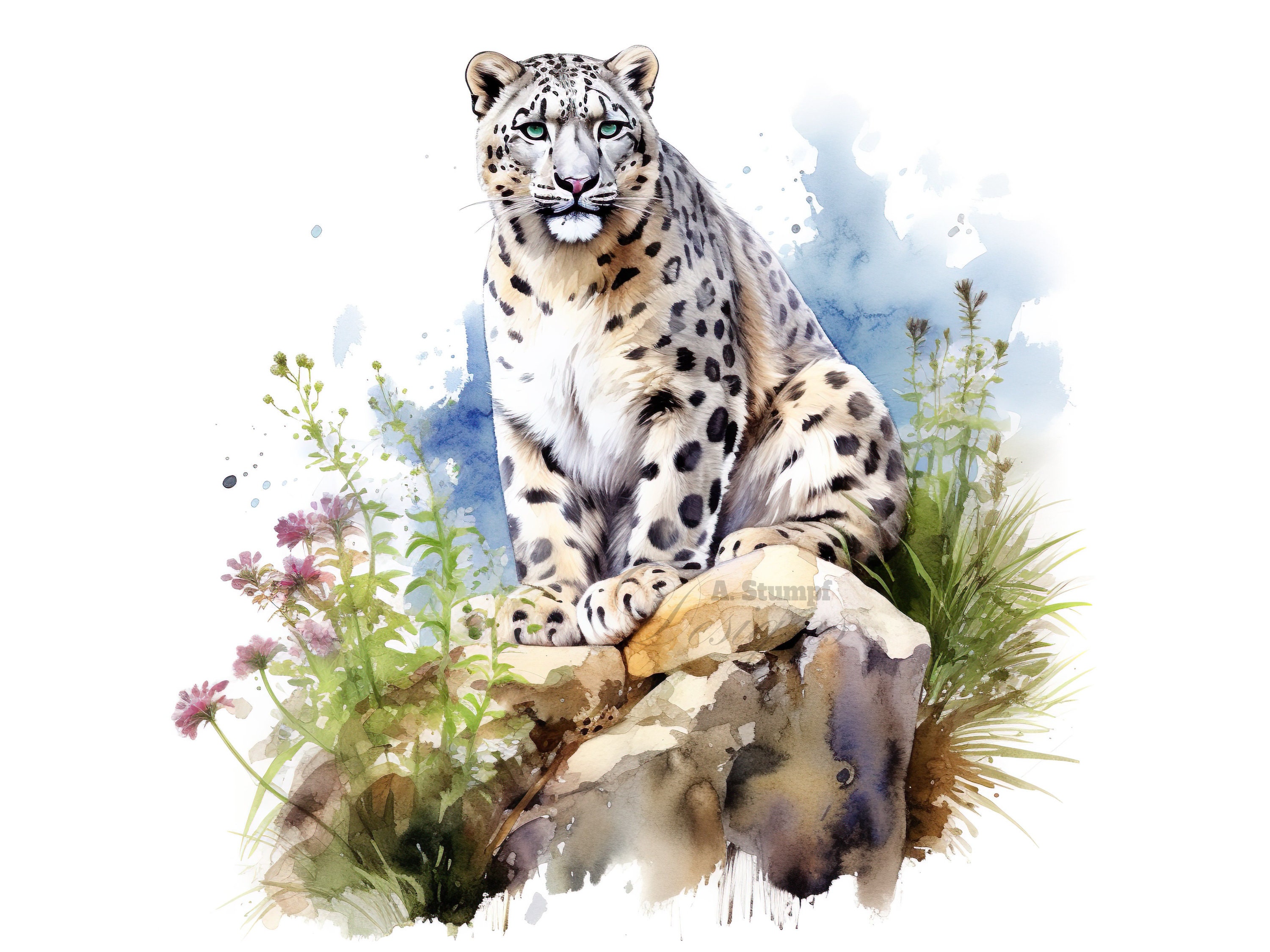 Snow Leopard Clipart Set of 10 High Quality Jpgs Digital - Etsy