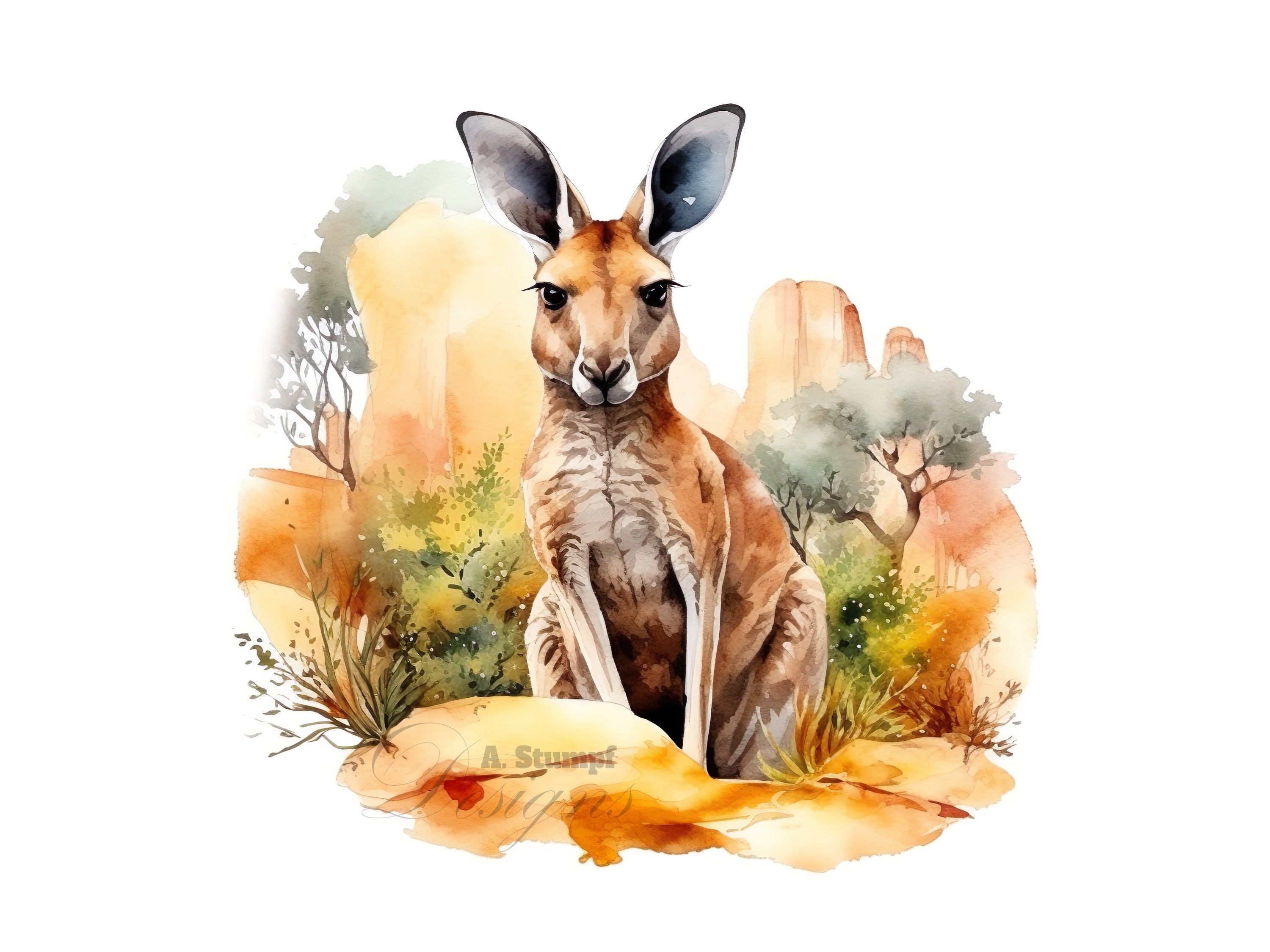 10 Kangaroo Clipart, Digital Watercolor Painting, Australian Wildlife ...