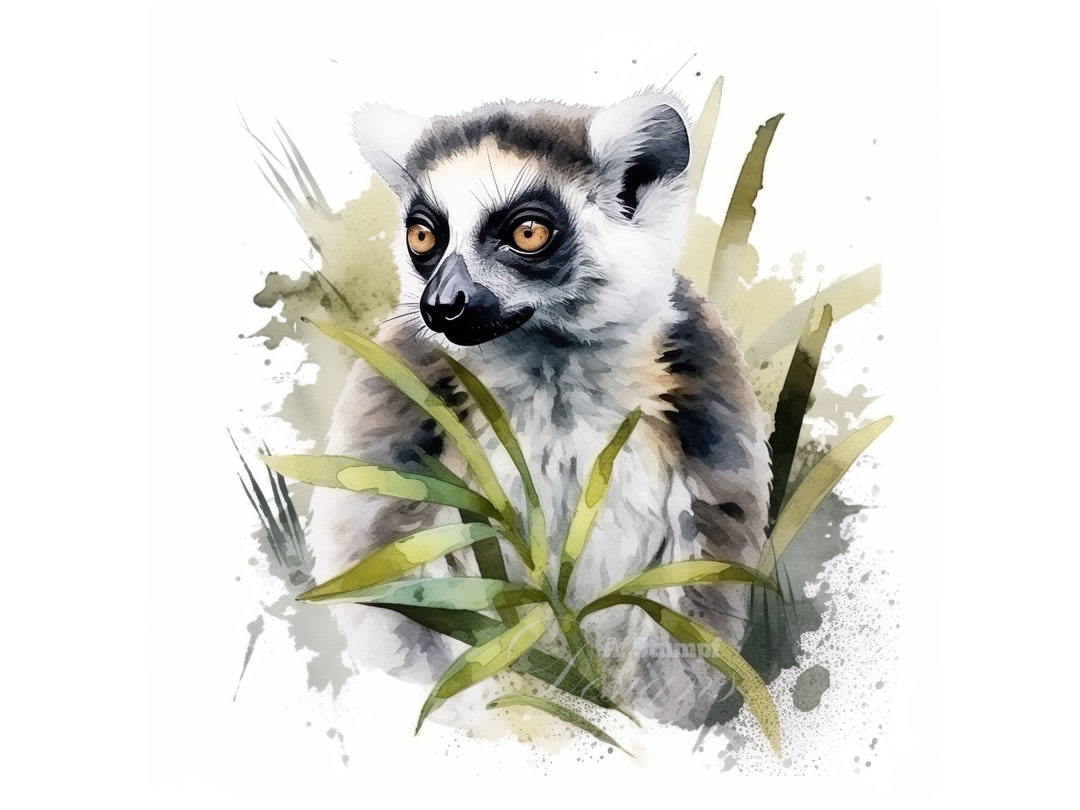 Lemur Watercolor Clip Art Bundle Safari Jungle Animals - Etsy