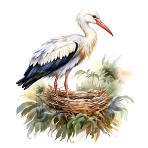 10 Stork in Nest Clipart Set, Digital Watercolor Bird Painting ...