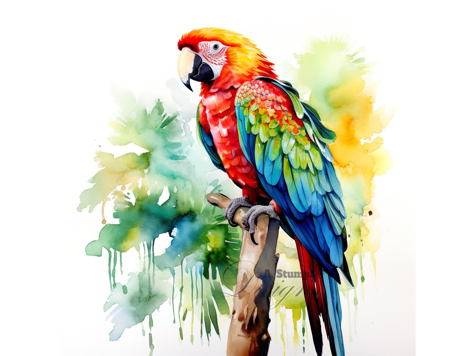 Parrot Watercolor Clipart Set 10 Digital Images Clip Art Watercolor Art ...