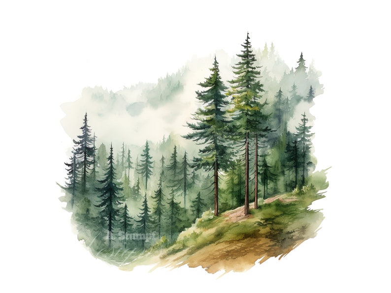 10 Coniferous Forest Landscape Clipart Set Digital Watercolor Painting ...