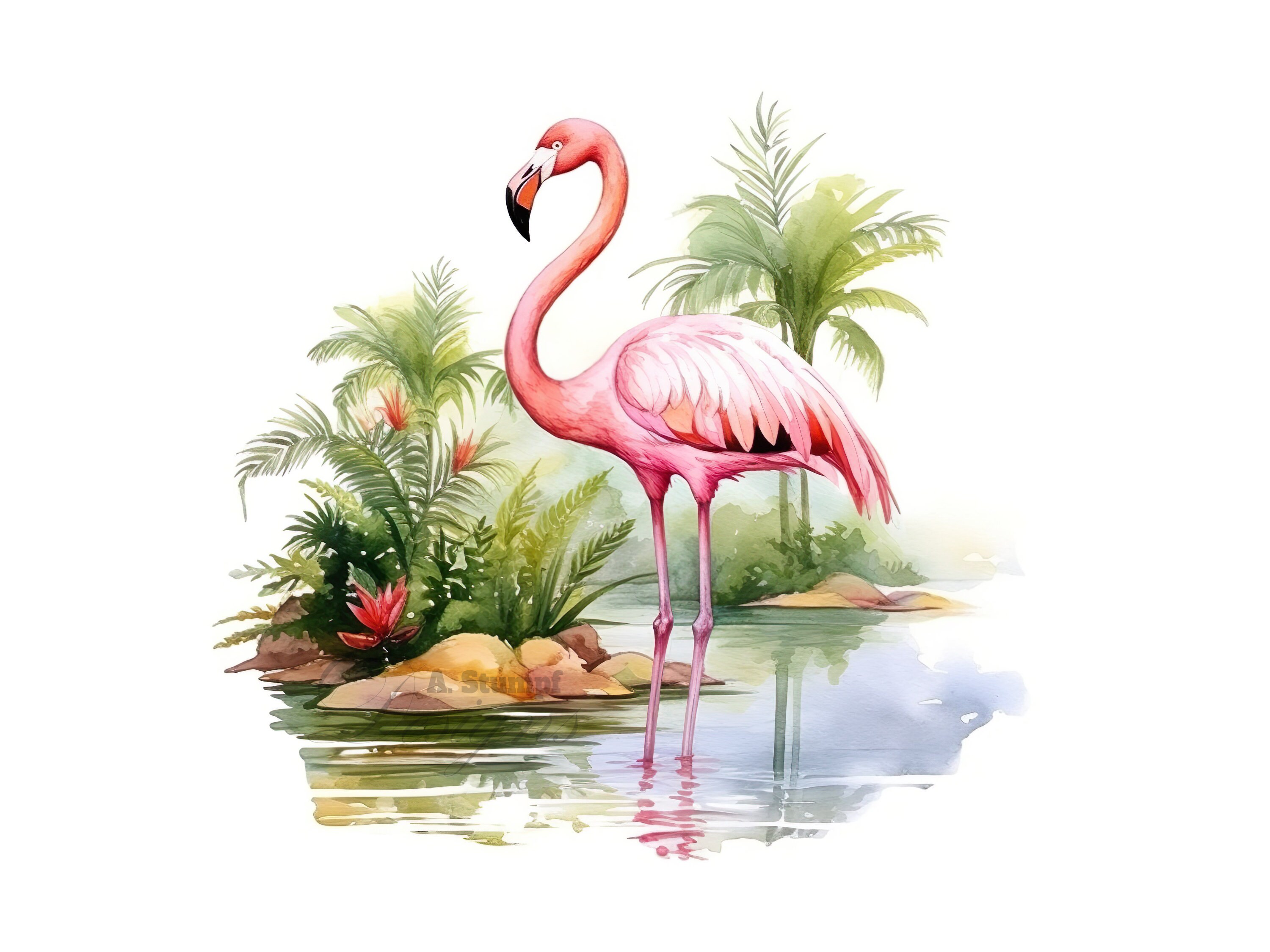 10 Flamingo Clipart Set Digital Watercolor Painting Safari Animal ...