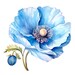 Blue Poppy Clipart Watercolor Bundle Floral Clipart Elegant Flowers ...