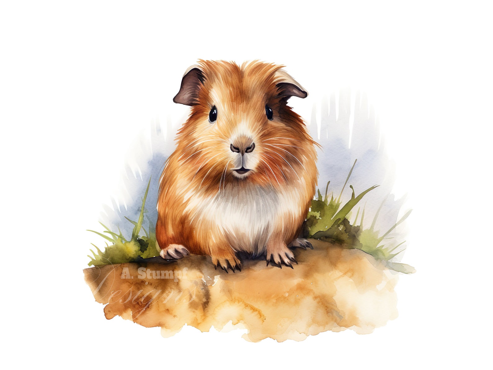 Guinea Pig Clipart Set 10 High Quality Jpgs, Pet Graphics, Printable ...