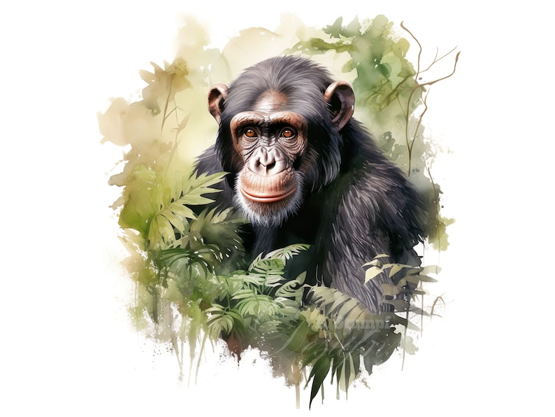 Chimpanzee, Clipart Set, Digital Chimp Art, Ape Clip Art, Primate ...
