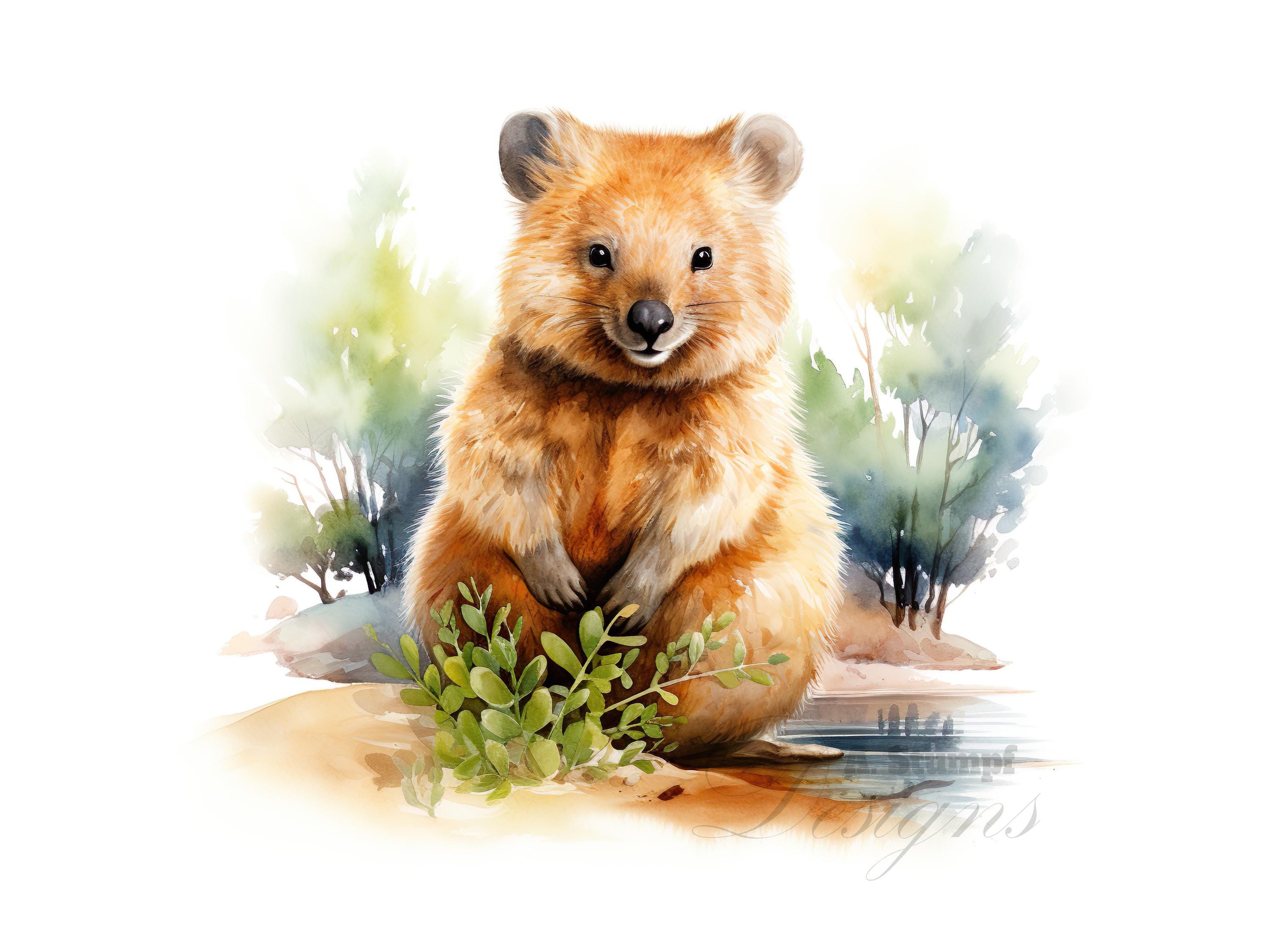 10 Quokka Clipart Set Digital Watercolor Painting Australian Marsupial ...