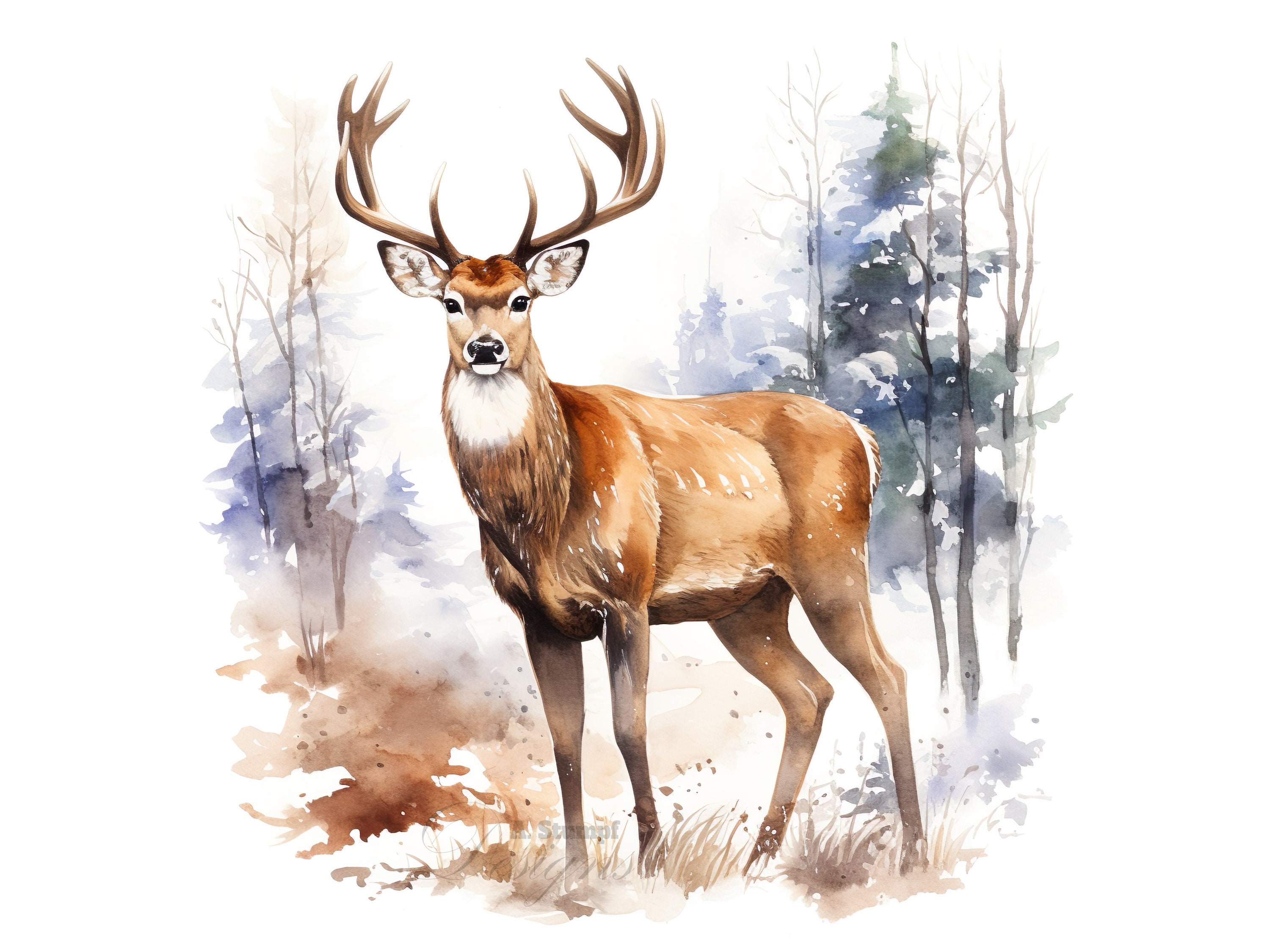 Deer Clipart Set of 10 High Quality Jpgs Digital Watercolor Art ...