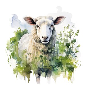 10 Wooly Fluffy Sheep Clipart Set Digital Watercolor Painting Farm ...