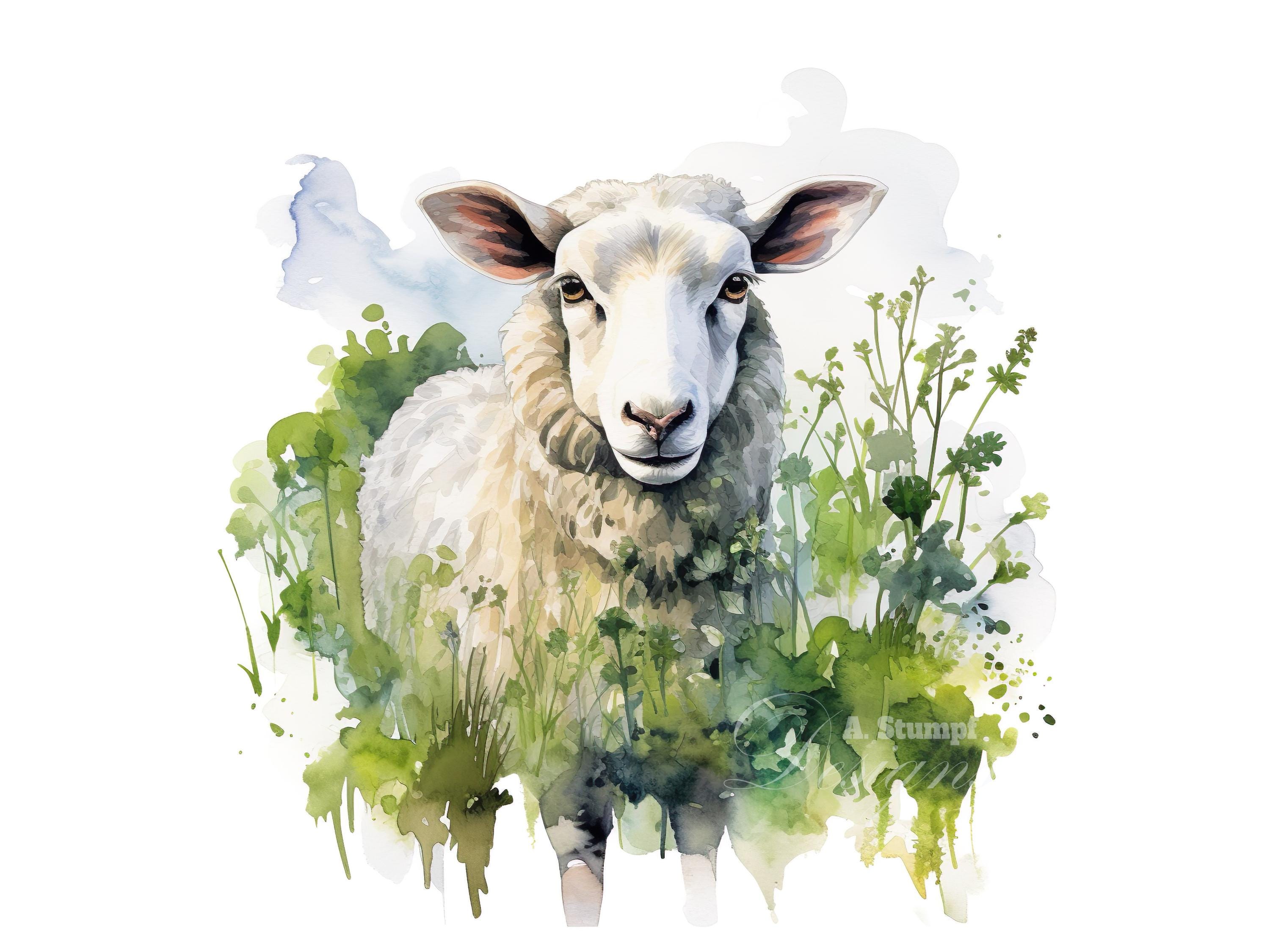 10 Wooly Fluffy Sheep Clipart Set Digital Watercolor Painting Farm ...