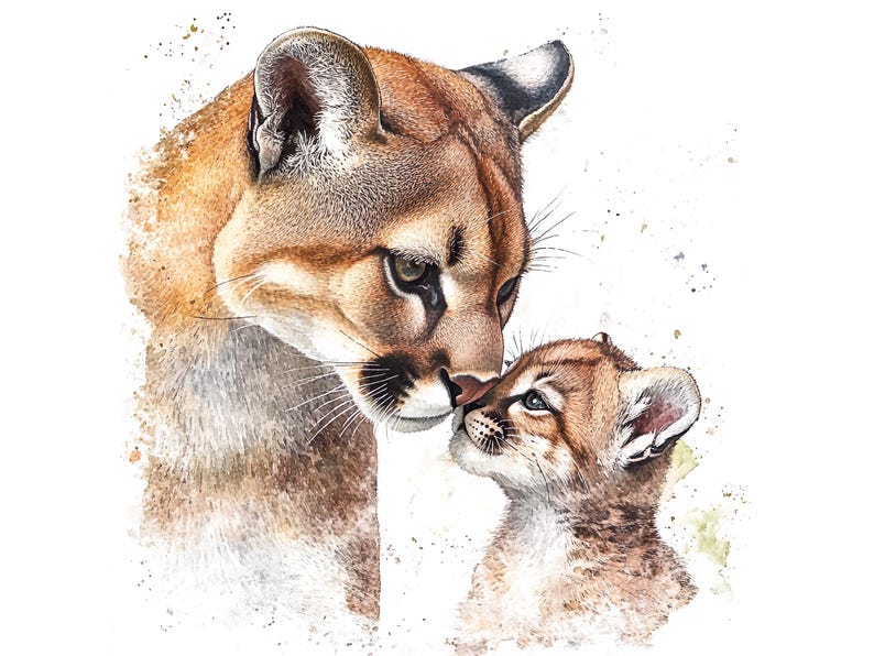10 Puma Mother With Her Baby Clipart Set Digital Watercolor Animal ...